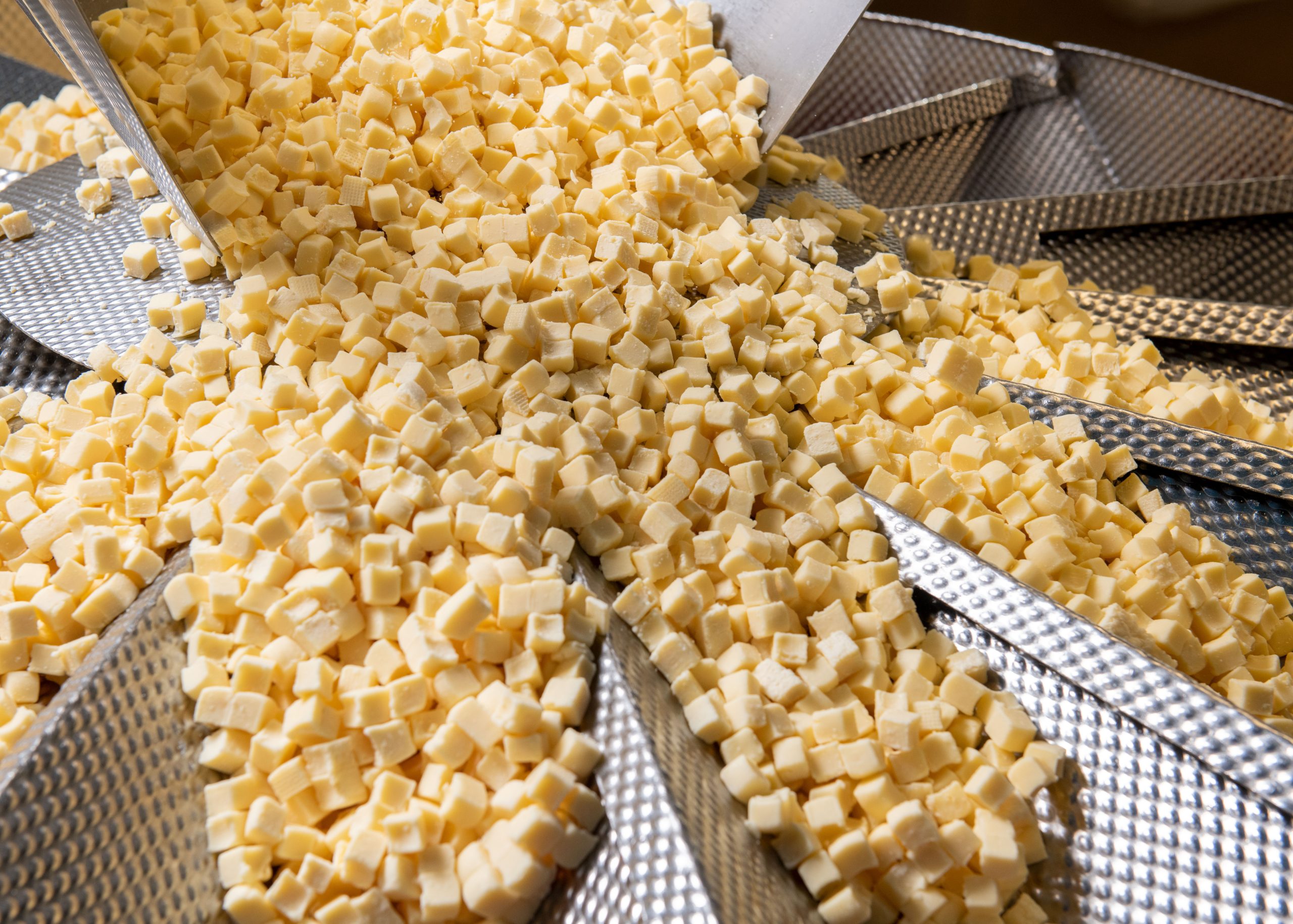 Vepo Cheese brochure EN - Vepo Cheese